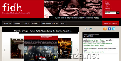 International Federation for Human Rights - What is FIDH?